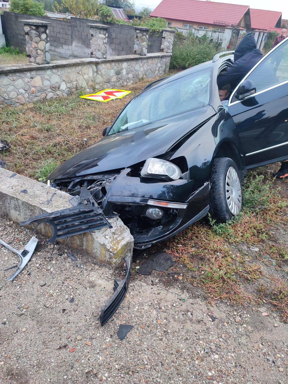 12:46 A intrat într-un cap de pod încercând să evite doi câini – Radio ...